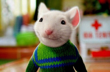 精灵鼠小弟剧情介绍_电影_电视猫